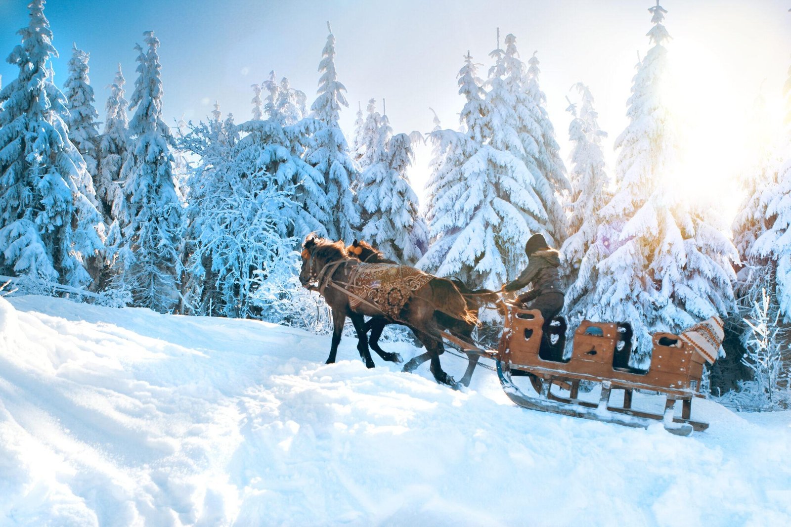 30+ Things To Do in Zakopane in Winter (Definitive Guide)