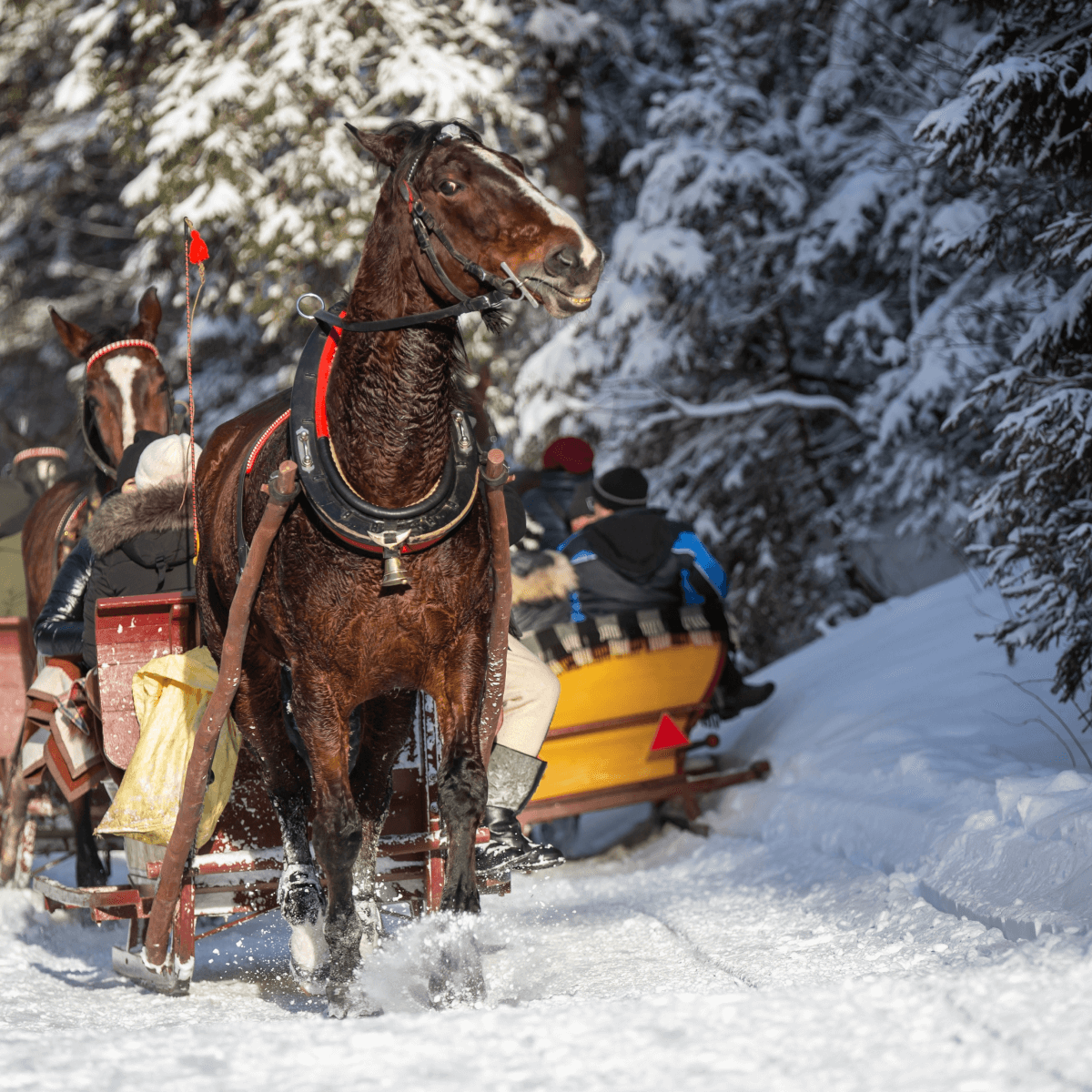 Sleigh Ride Uk